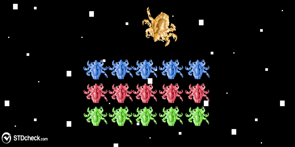 Crabs Std Symptoms Women
