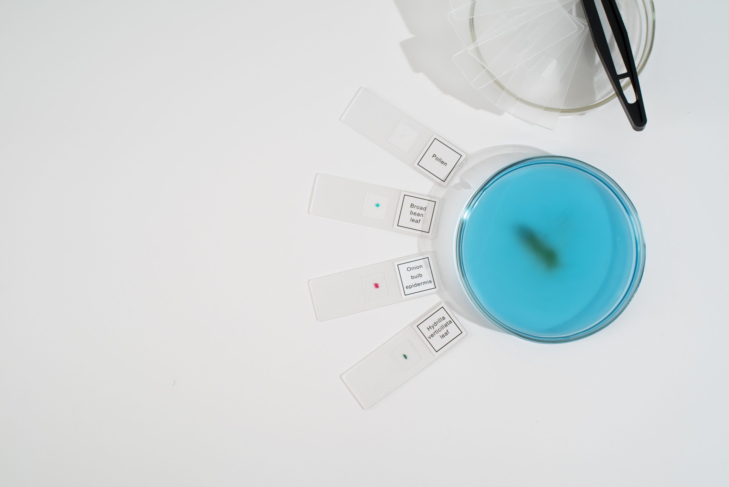 Signs and Symptoms of trichomoniasis for Accurate Diagnosis